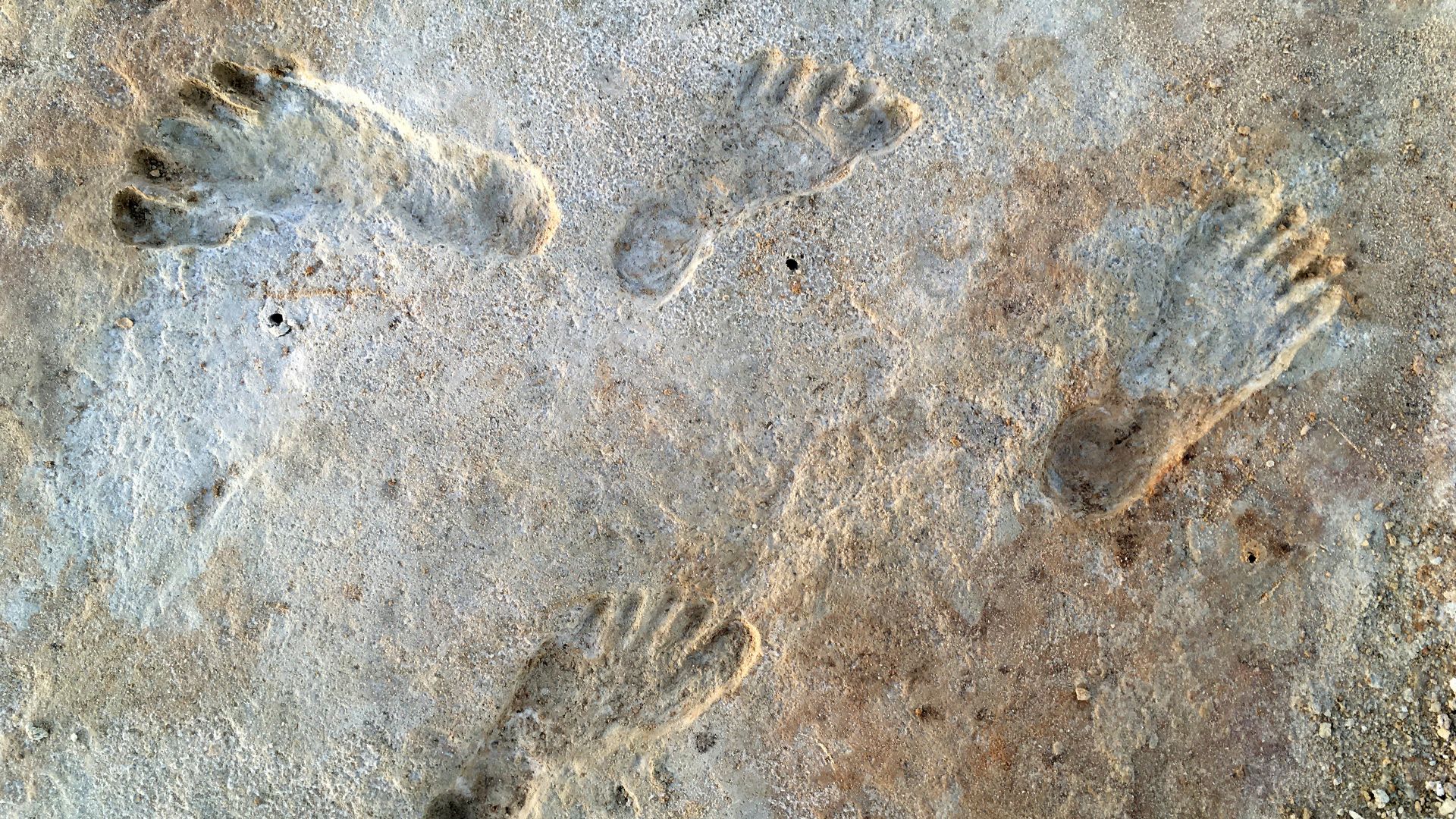 Debate settled? Oldest human footprints in North America really are ...