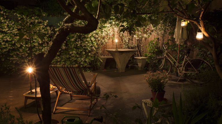 Native plants for night-time pollinators: 5 of the best | Homes and Gardens