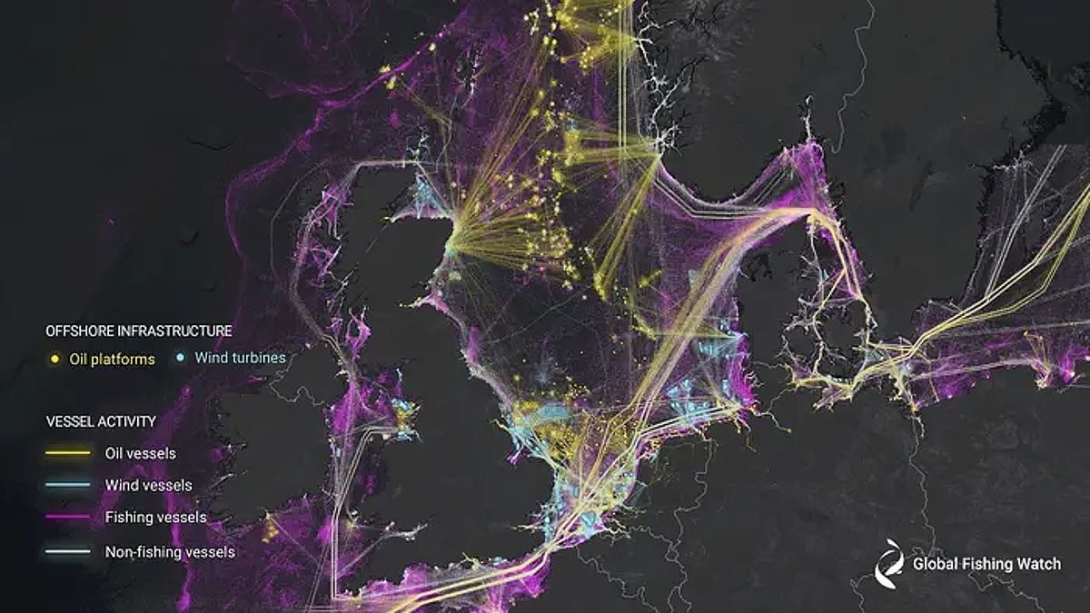 Satellites reveal 75% of world's industrial fishing vessels are 'hidden ...