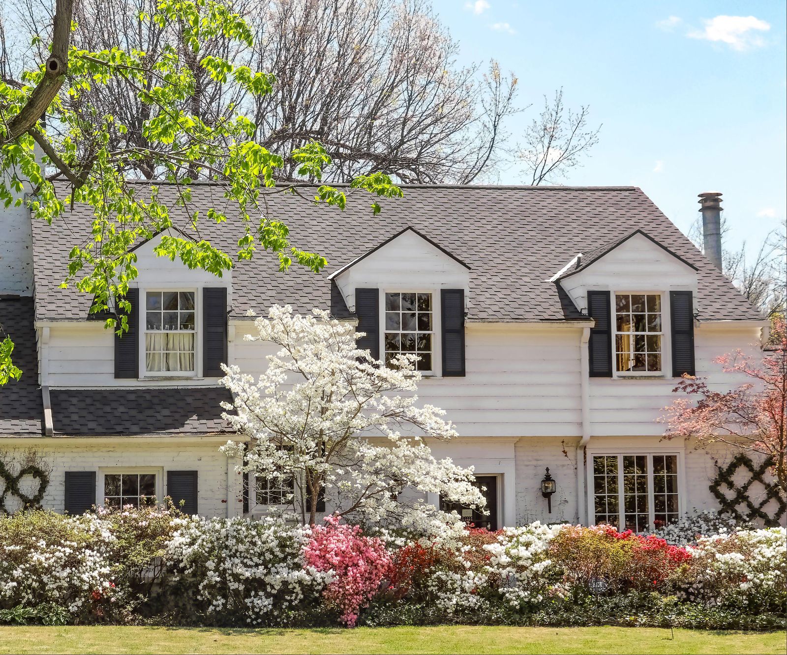 9 of the best trees to plant close to a house and which ones