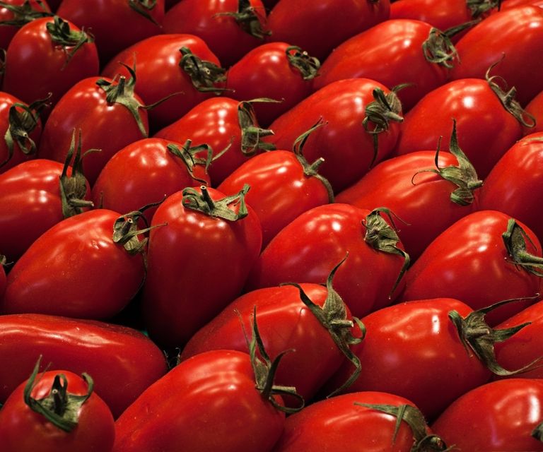 Best Tomatoes For Containers: 10 Varieties For Small Spaces | Gardening ...