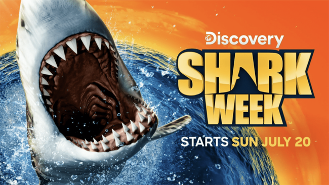 Megalodon was fastest swimming shark ever and could devour an orca in 5 ...