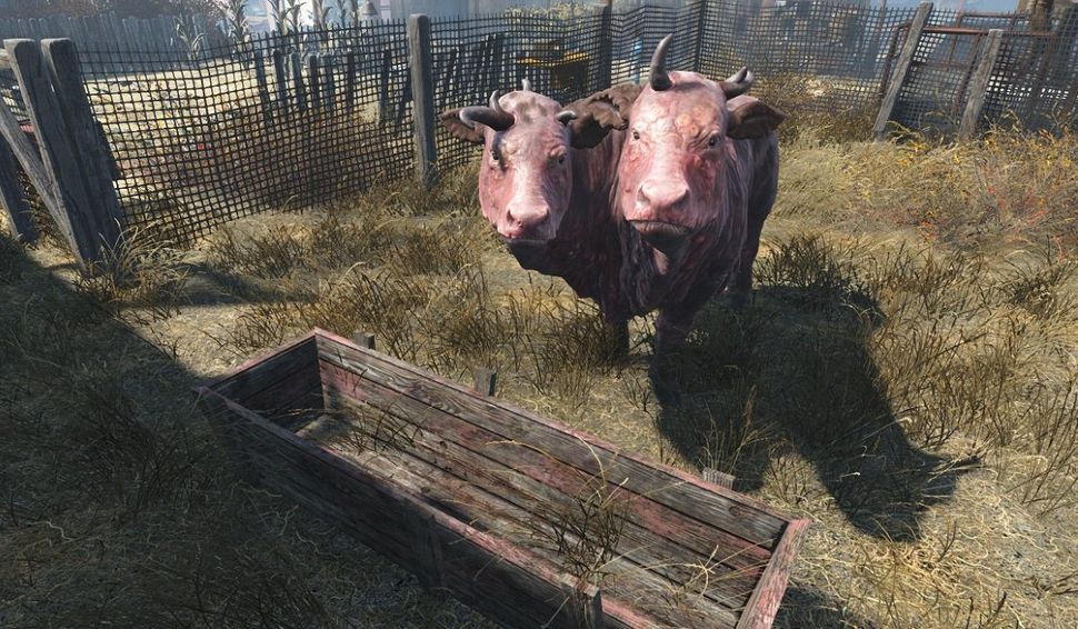 9 Fallout Video Game Creatures That Need To Appear In The Amazon Series ...