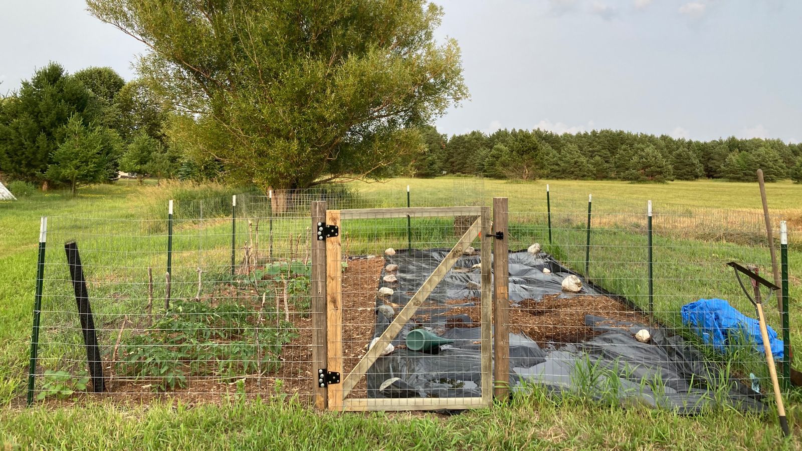 How To Turn An Overgrown Field Into A Garden Full Of Produce ...