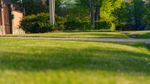 When to apply lawn sand - expert tips for the best timing | Homes and ...