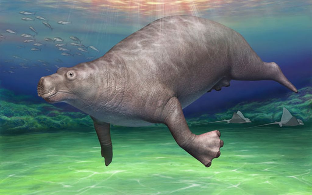 Forgotten 'Dinosaur' Fossil Actually Belongs to a Weird, Hippo-Like ...