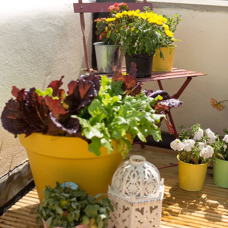 B&Q wants to recycle your old plastic plant pots | Ideal Home