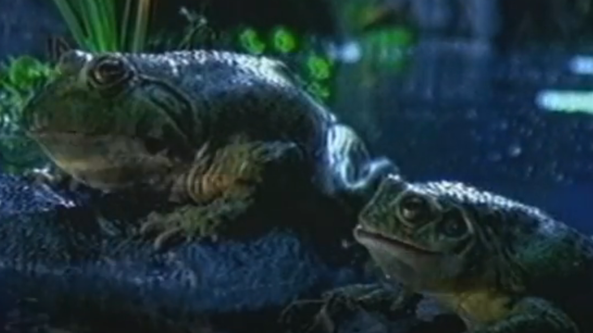 32 TV Commercial Catchphrases Everyone Still Remembers | Cinemablend