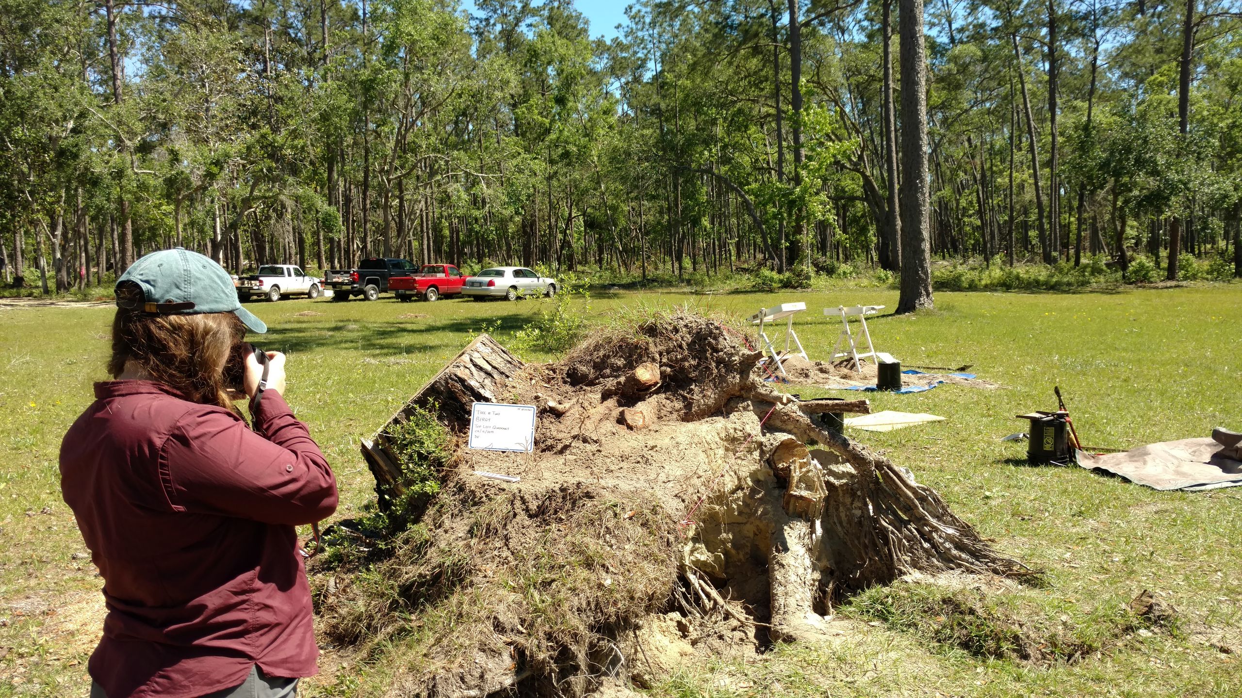 Photos: Hurricane Michael Toppled Over Trees and Uprooted 19th Century ...