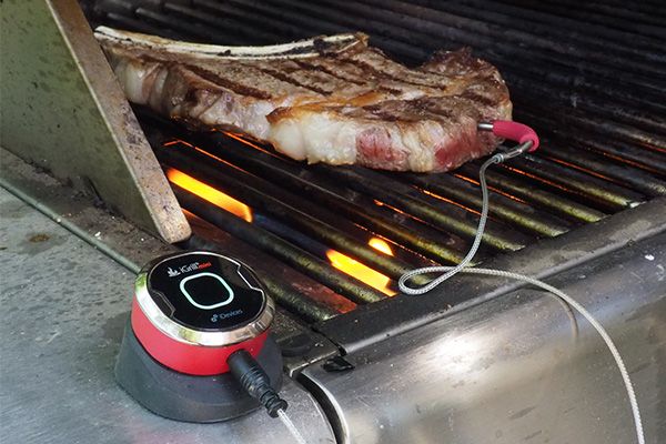 IGrill mini Review - Tom's Guide | Tom's Guide