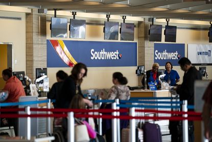 The Check-In: Etiquette tips from flight attendants, a Vermeer exhibit ...