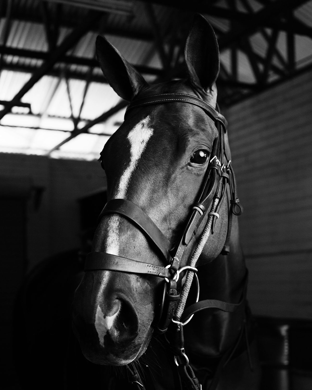 Make your portraits look as if they were shot in a high-end photo ...