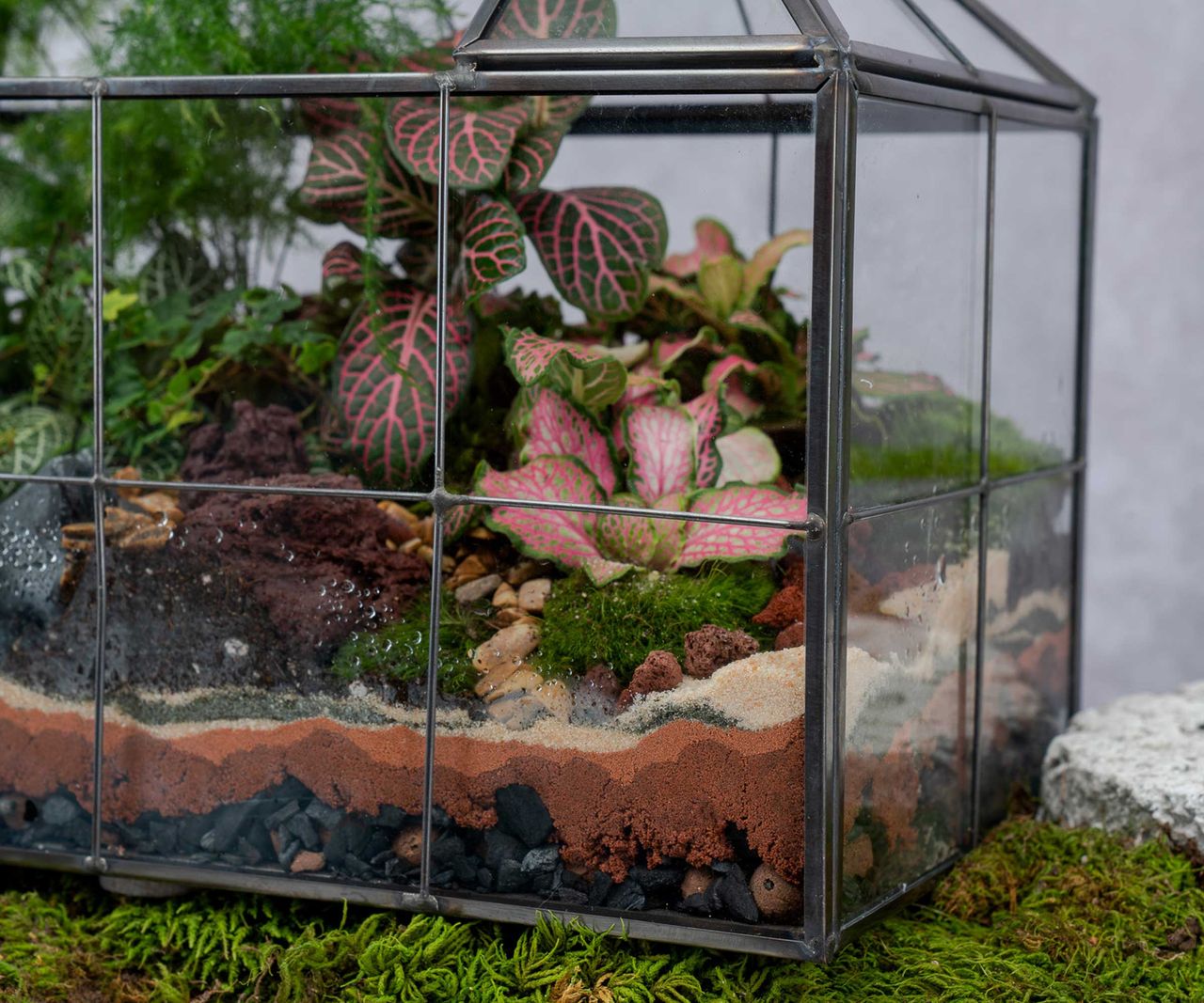 Terrarium care: tips on how to look after your display | Homes and Gardens