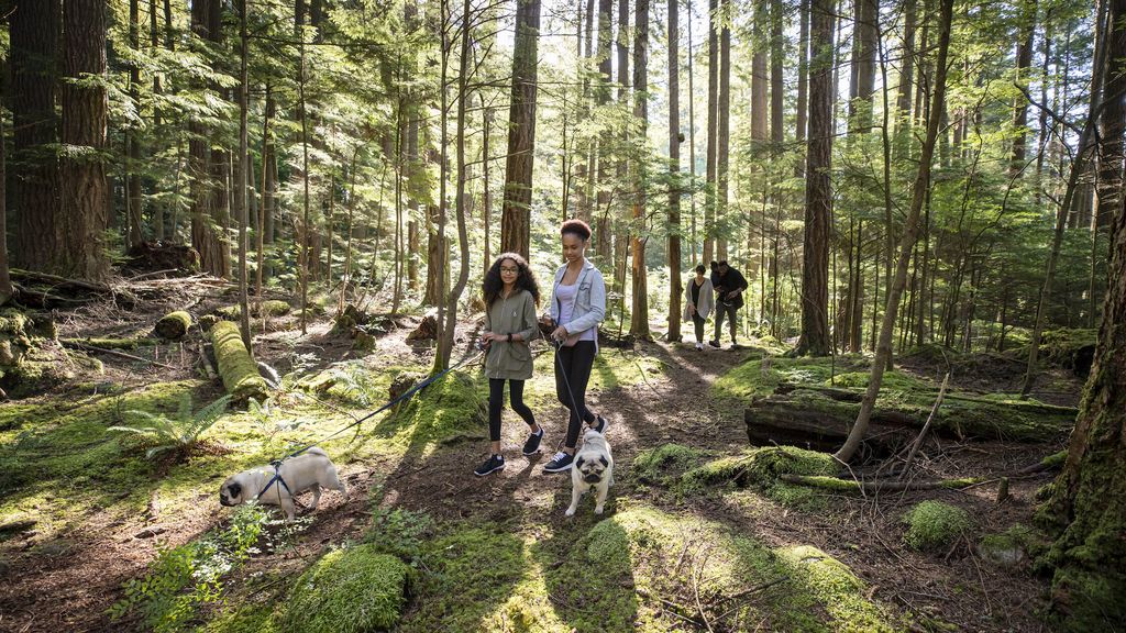 32 best dog walks in the US | PetsRadar
