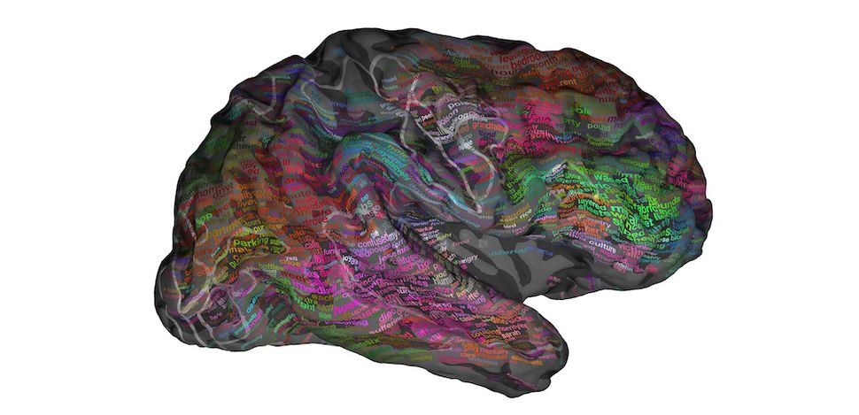 New Brain Atlas Reveals Where Words Are Stored | Live Science