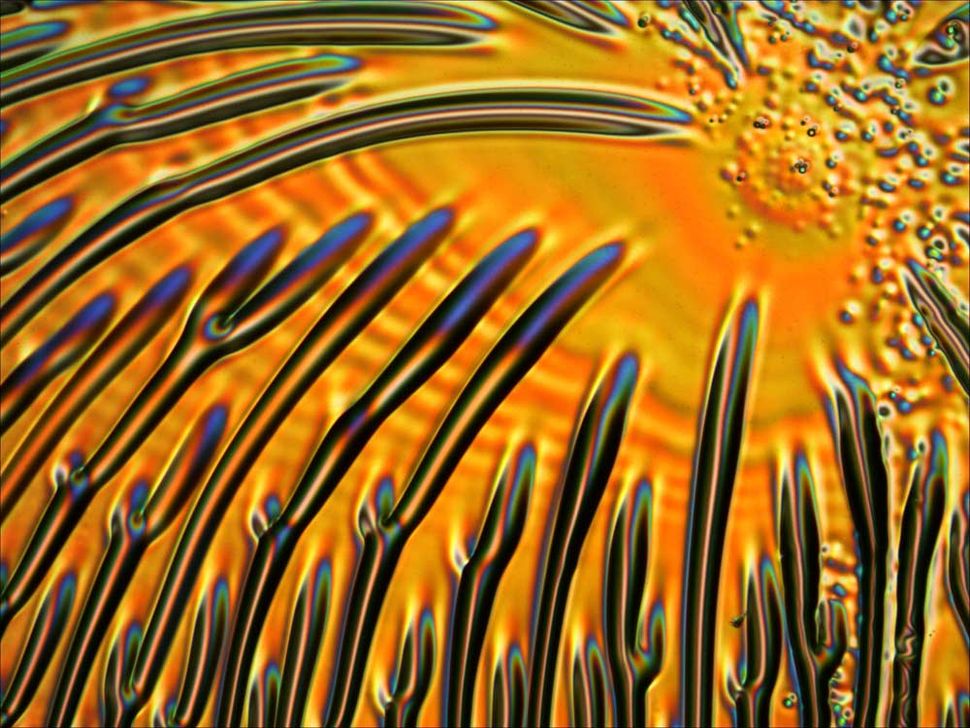 Image Gallery: Science Meets Art | Live Science