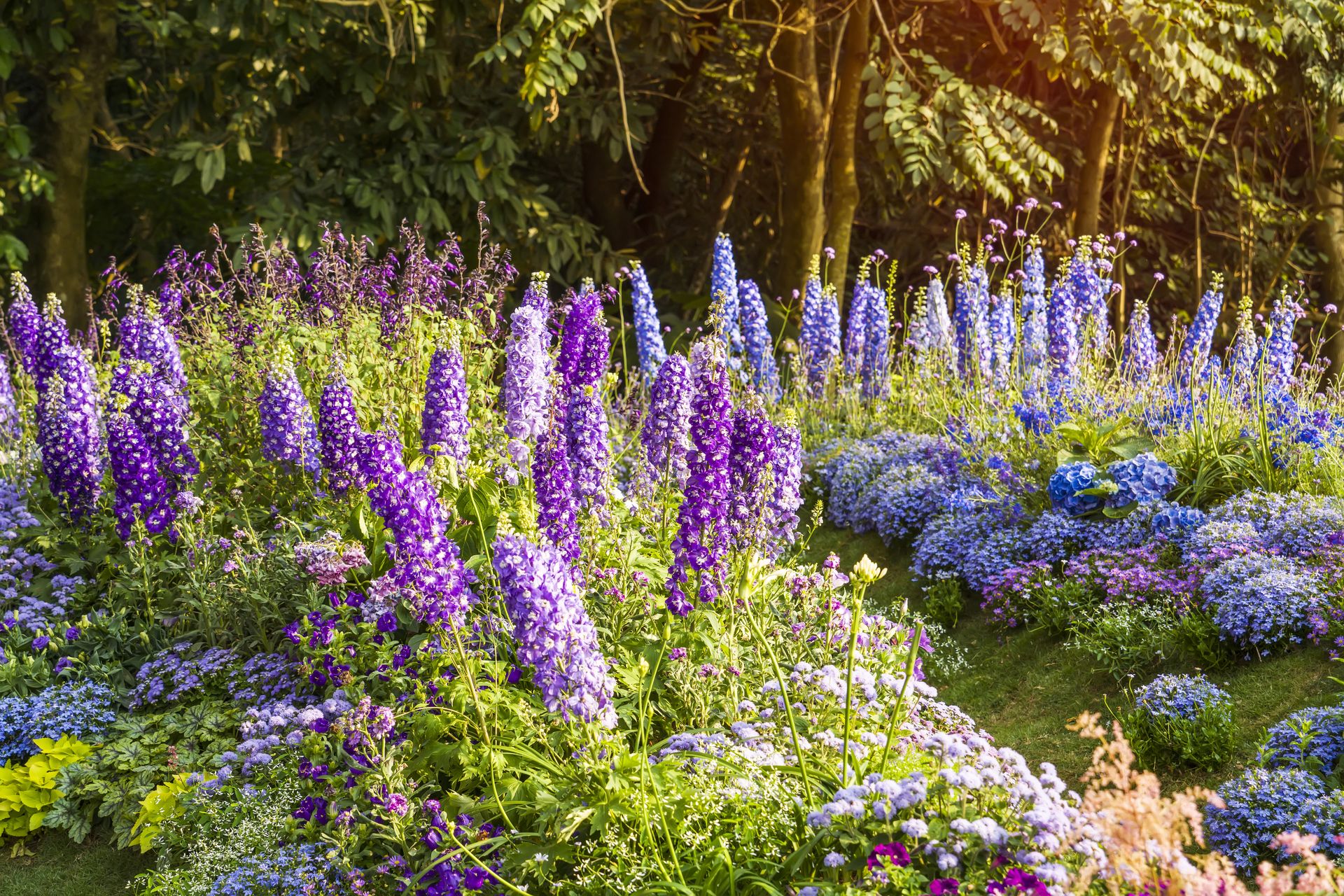 6 Self-Seeding Plants You Should be Growing in Your Backyard for a ...