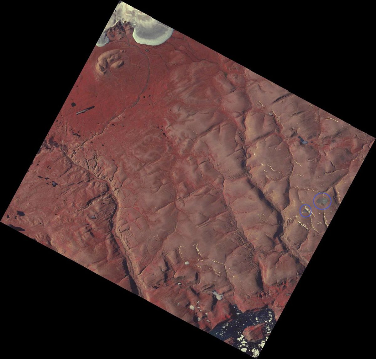 Two Canadian ice caps have completely vanished from the Arctic, NASA ...