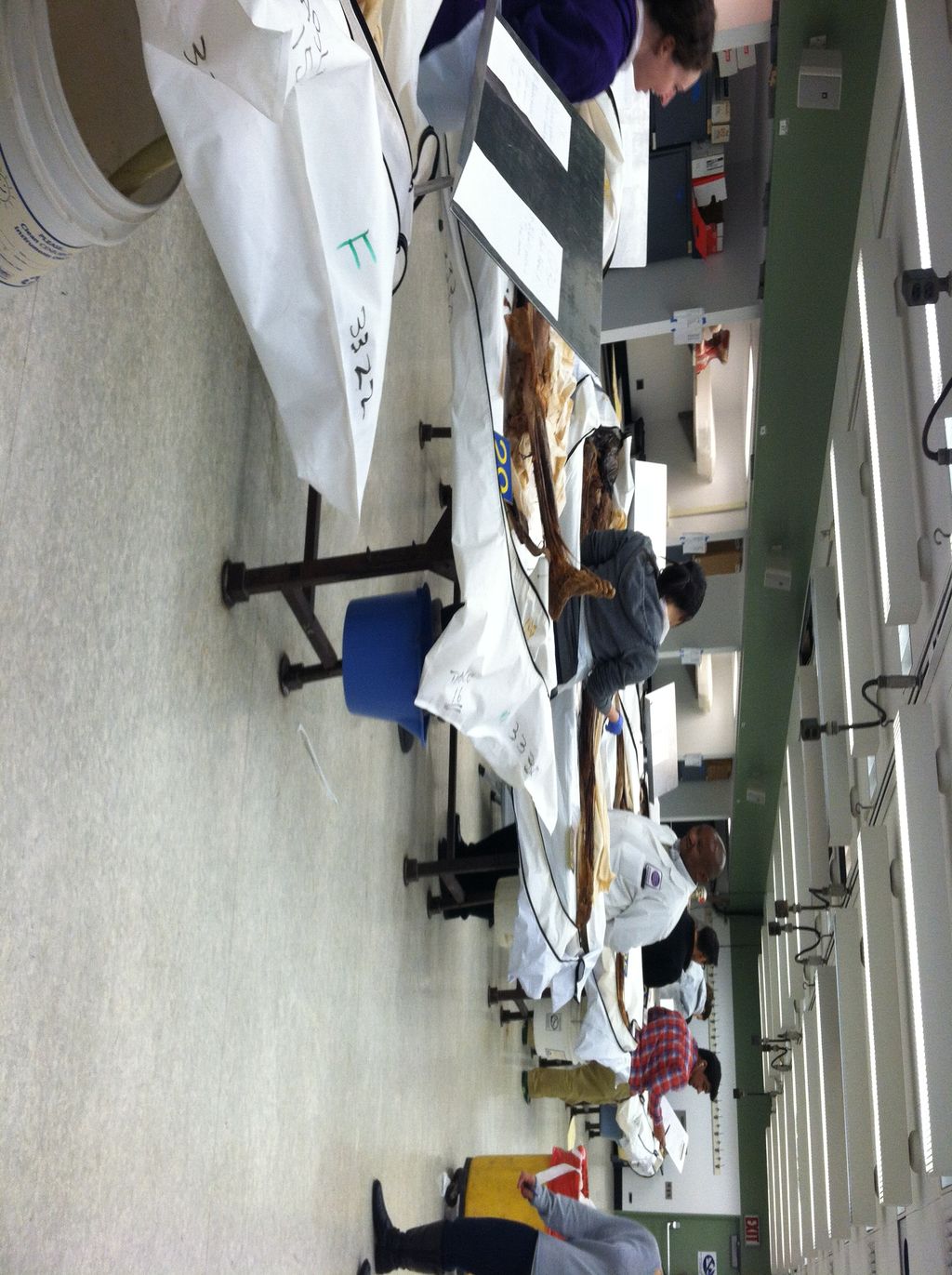 Gross Anatomy Lab: A Firsthand Account | Human Anatomy | Live Science