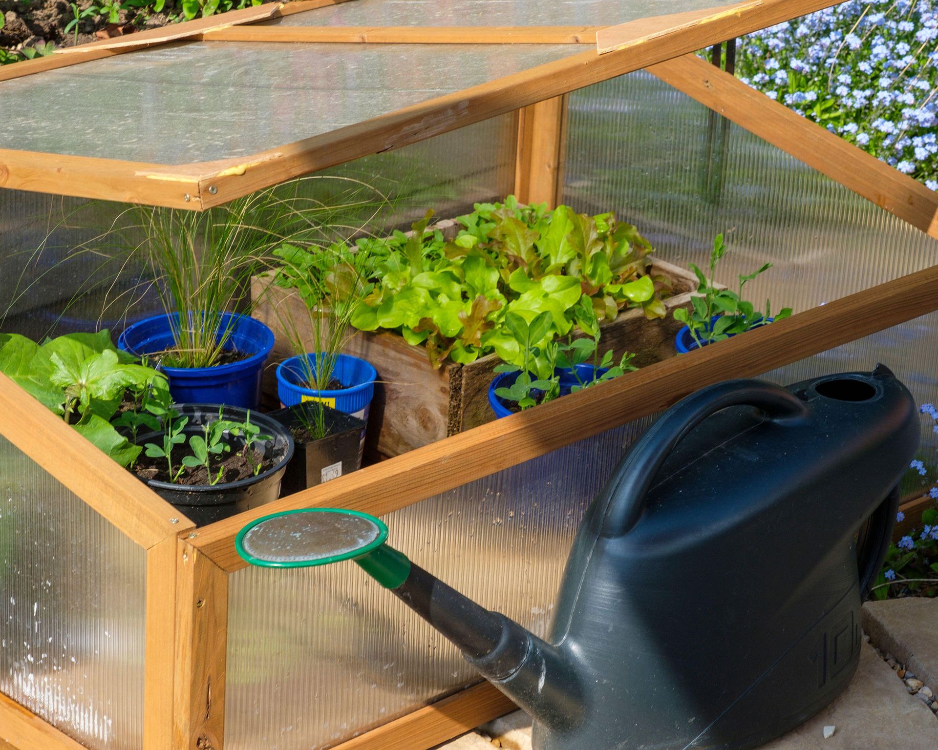 13 DIY mini greenhouses you can make yourself | Gardeningetc