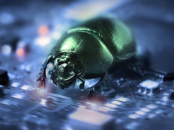 Microsoft Announces Windows Bounty Program | Tom's Hardware