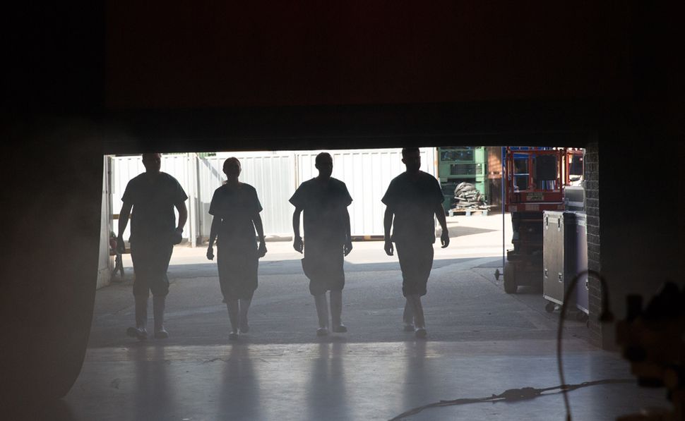 Gory Guts: Photos of a T. Rex Autopsy | Live Science