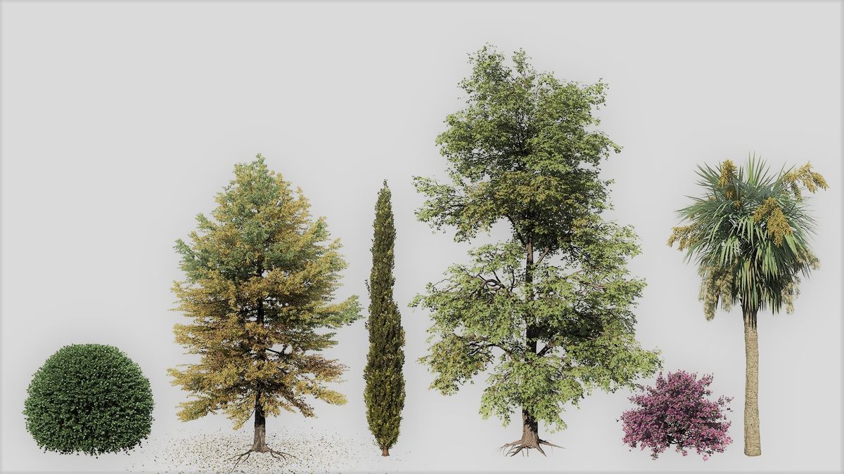 From The Elder Scrolls to the US Secret Service: where videogame trees ...