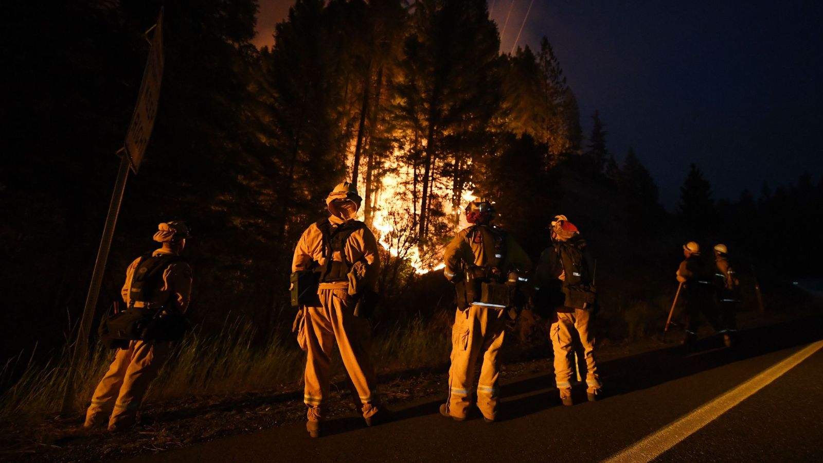 The economic cost of the wildfire season | The Week