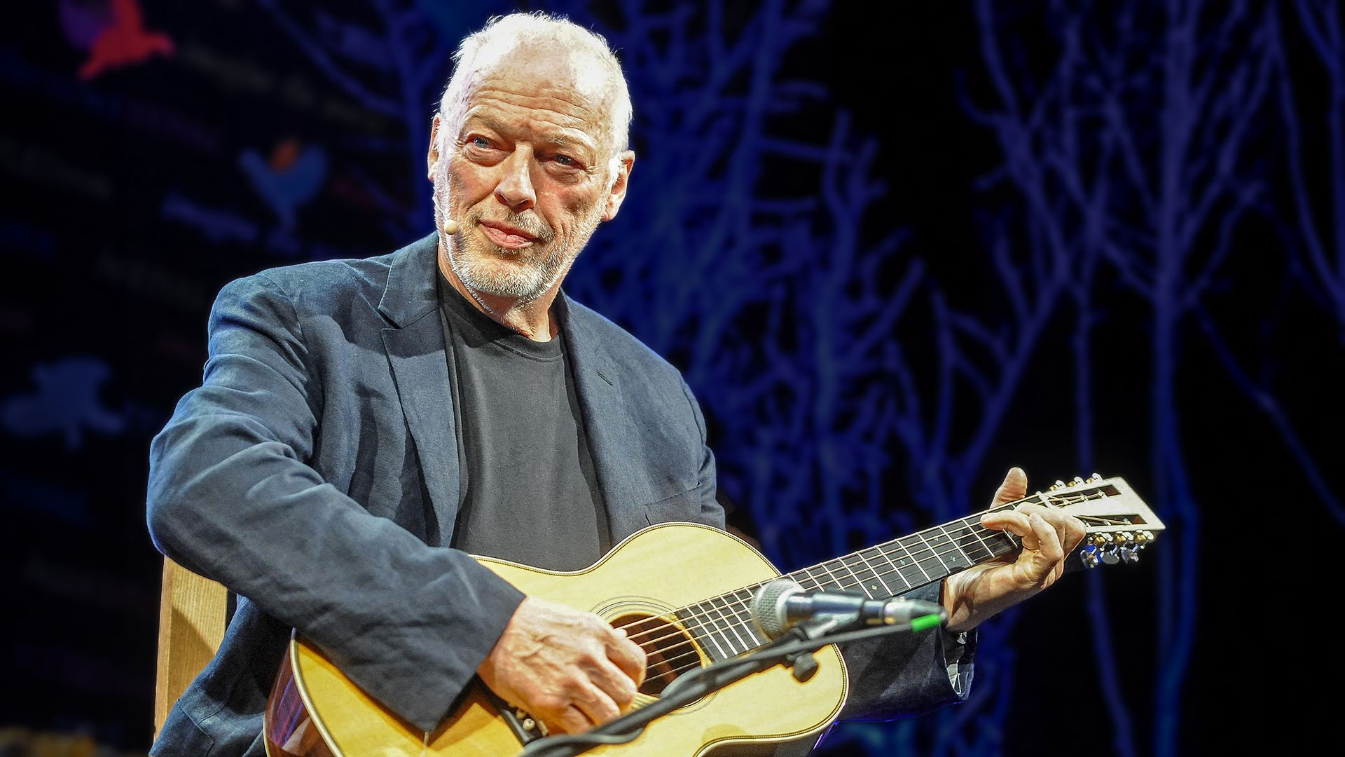 David Gilmour on the guitarist whose career he envies most | GuitarPlayer