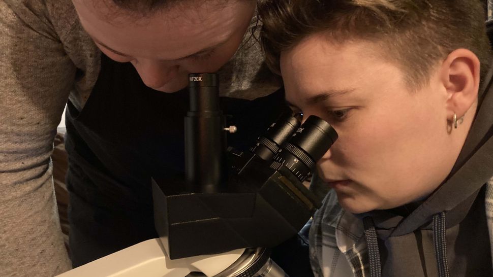 Celestron Labs CB2000C Advanced Biological Trinocular Microscope review ...