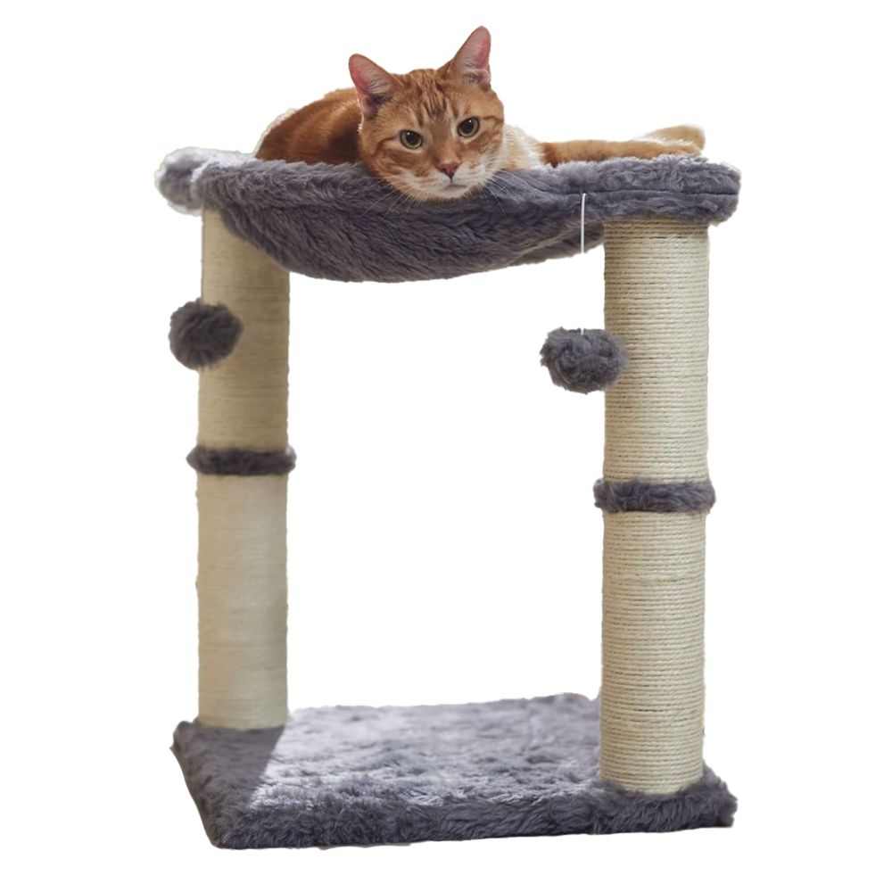 Best cat trees 2024 for cats who love to climb and relax | PetsRadar