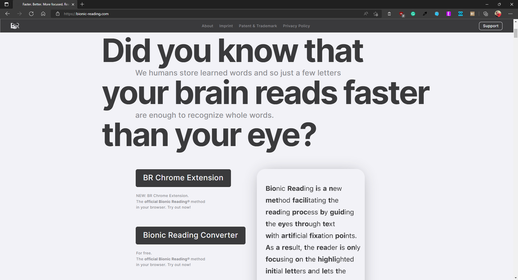 Bionic Reading review: Improving access to text on the web | Windows ...