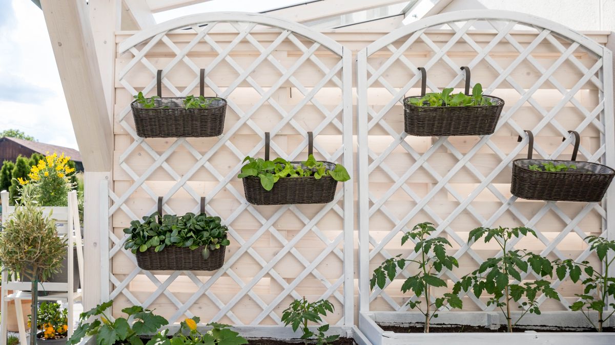5 easy ways to grow a vertical garden and save space | Tom's Guide