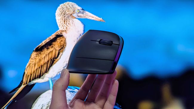 Surface Arc Mouse review: A beautiful peripheral that's ultimately ...