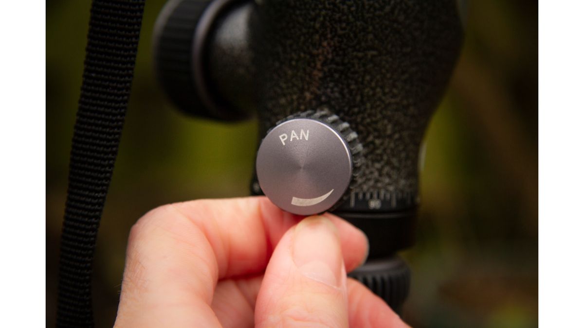 Create amazing macro panoramas with your camera | Digital Camera World