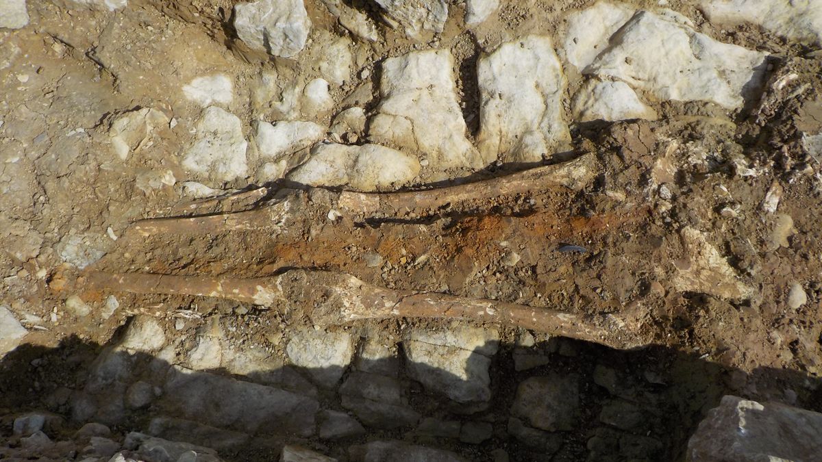 Elite Roman man buried with sword may have been 'restrained' in death ...