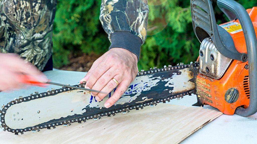 8 tips on how to use a chainsaw in winter, with expert advice | Top Ten ...