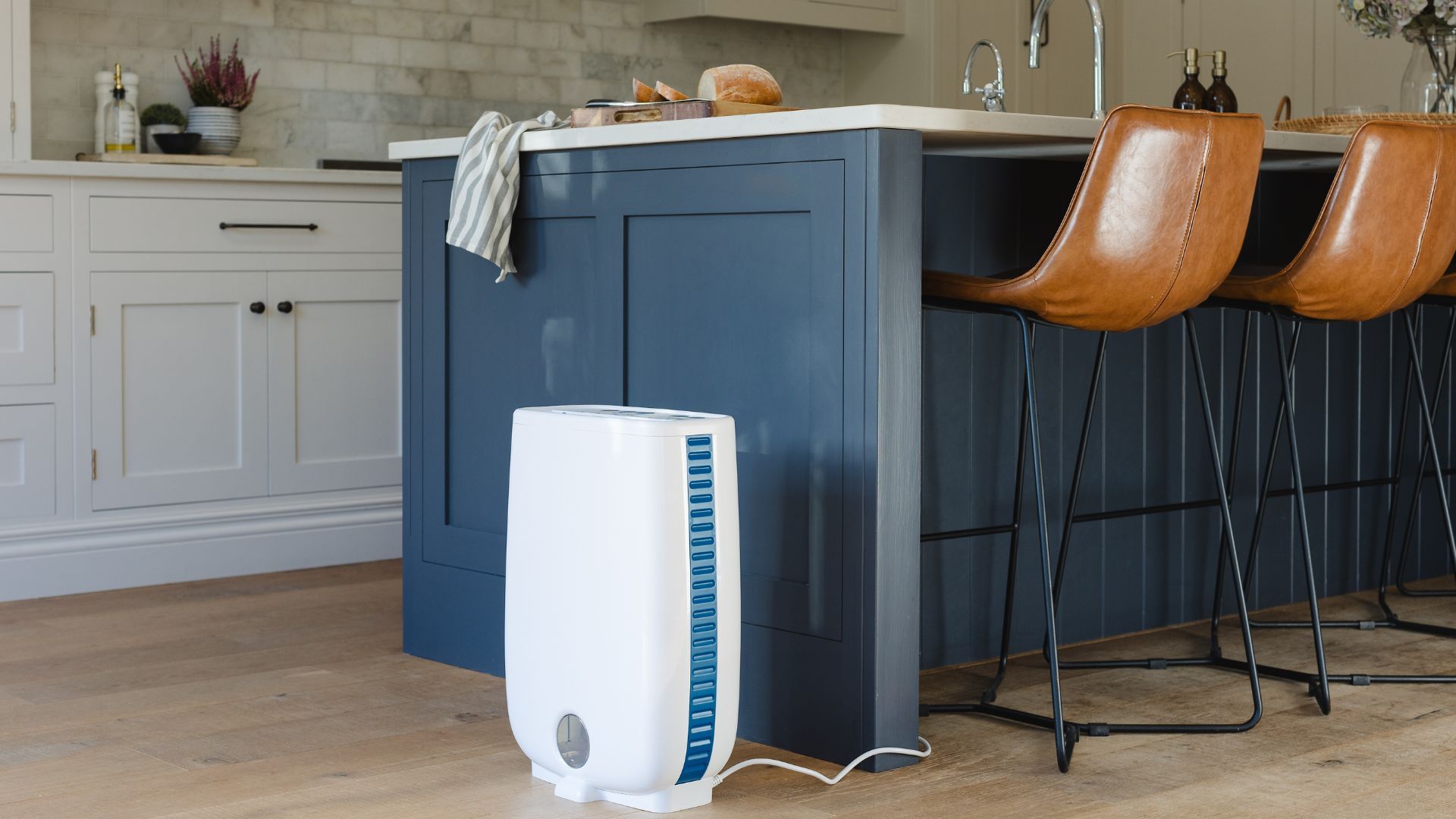 How to clean a dehumidifier in 3 easy steps | Tom's Guide