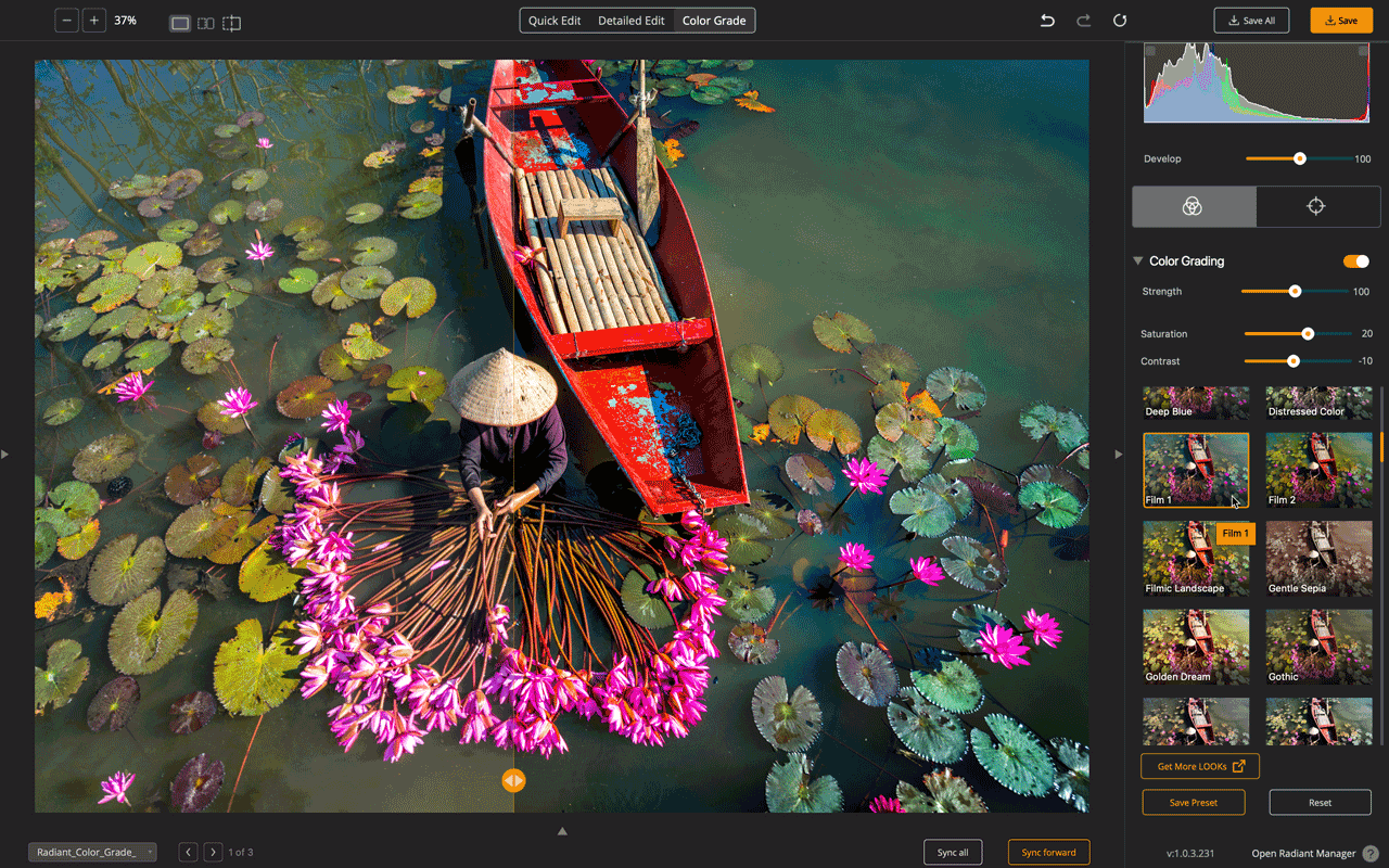 Radiant Photo readies huge color grading update | Digital Camera World