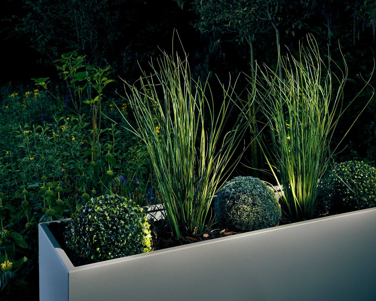 Landscaping with lights: 16 ways to illuminate your space | Gardeningetc