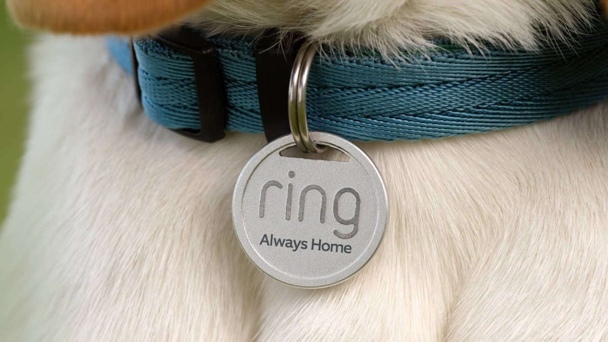 Ring launches brand new Pet Tag that lets you keep track of your fur ...