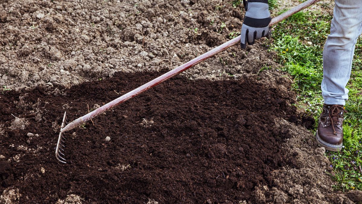 5 jobs to do in your yard in March to get it ready for spring | Tom's Guide