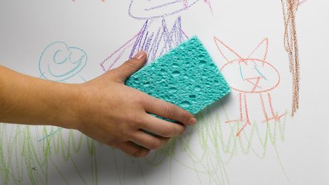 Washable Paint: Best Buys for Walls That Stay Looking Fresh | Homebuilding