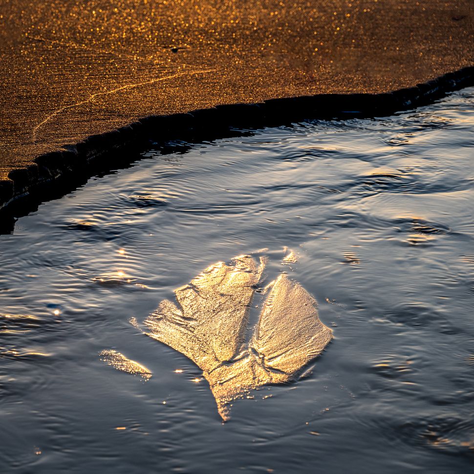 "I find traditional landscapes boring," admits landscape photographer ...