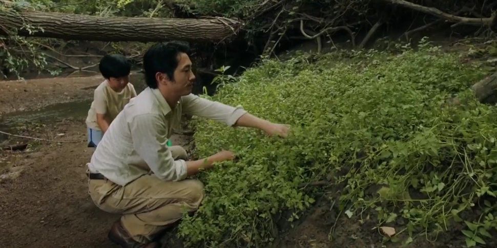 Minari Ending: The Poetic Conclusion Explained | Cinemablend