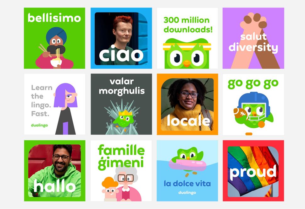 Duolingo gets a new logo and feathery custom typeface | Creative Bloq