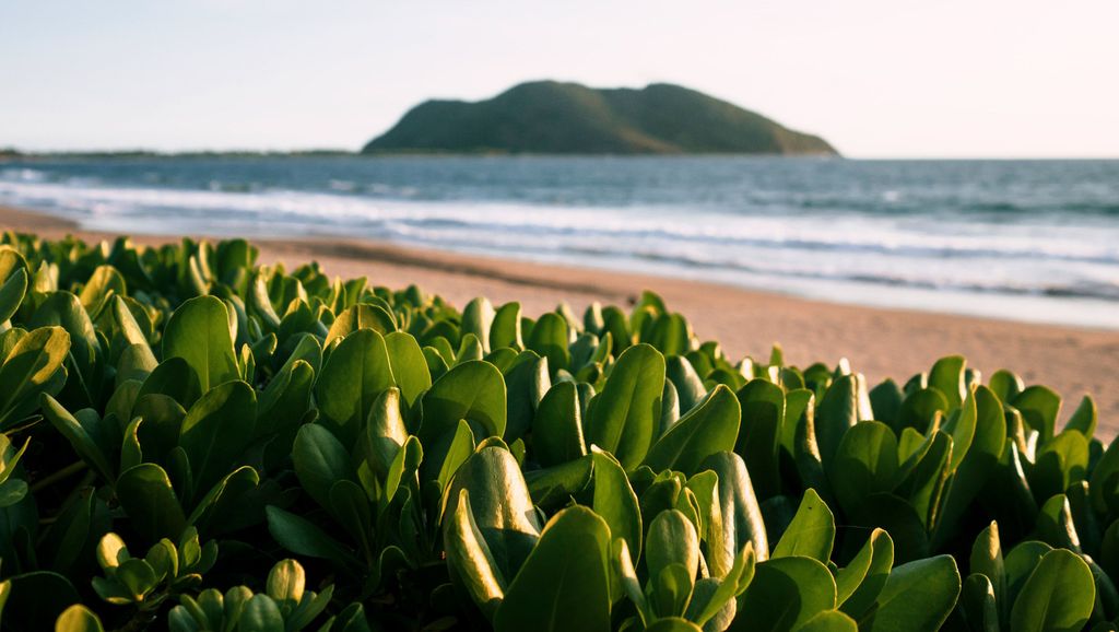 Best Mexican Spring Break Destinations to Avoid Crowds | Marie Claire