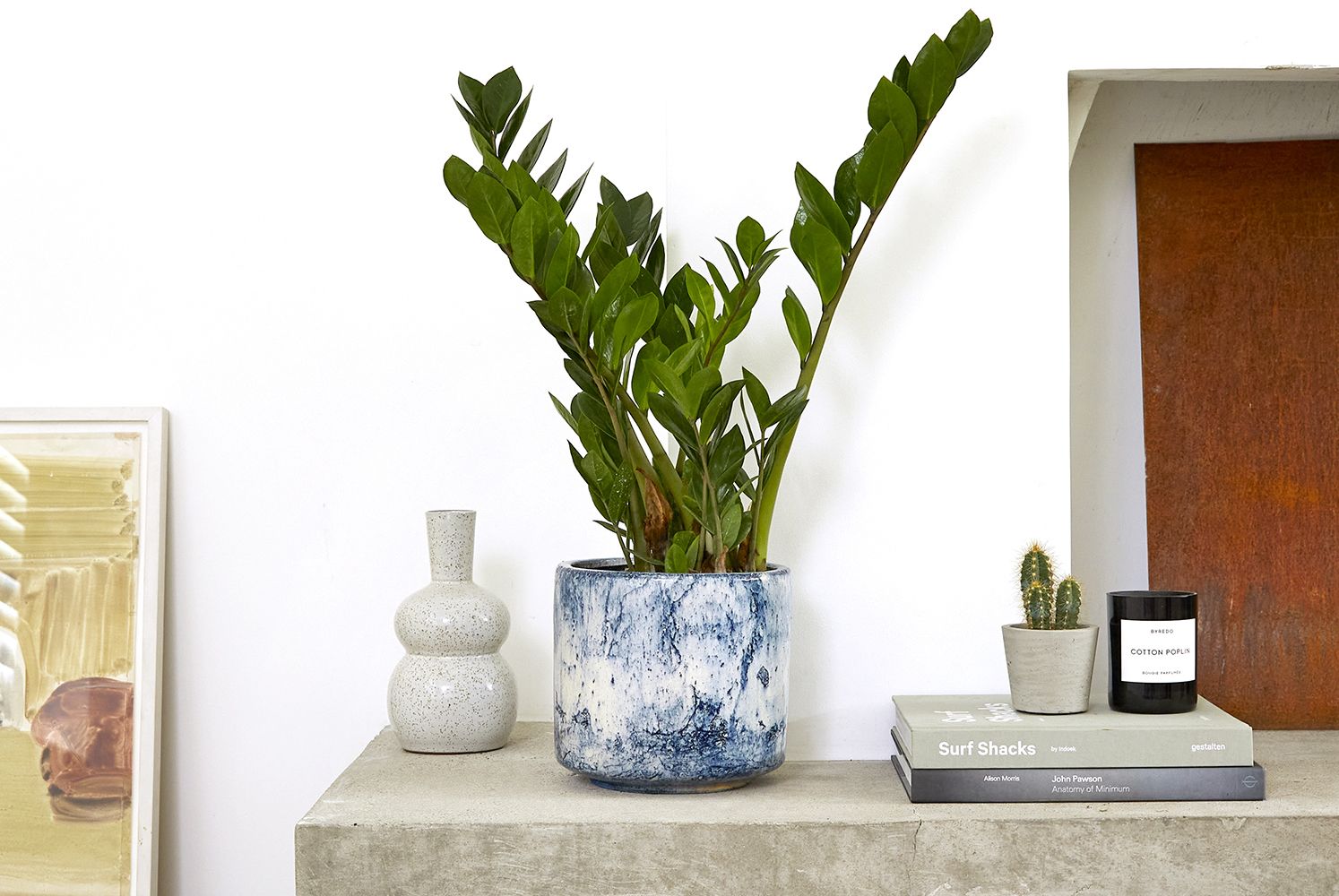The best desk plants – 8 plants for your home office | Livingetc