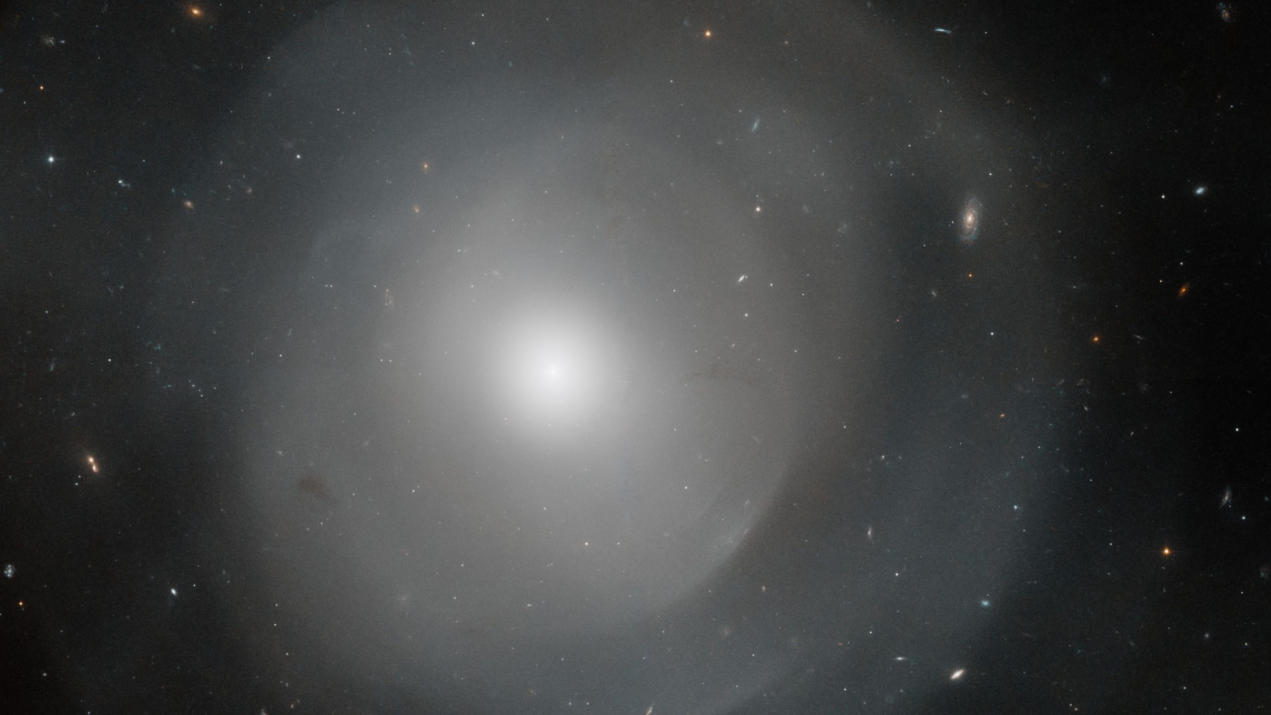 Hubble telescope spots enormous galaxy with mysterious shells | Space