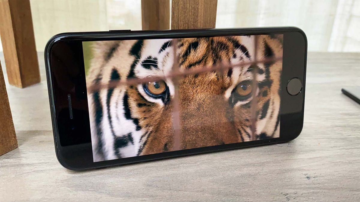 iPhone 12 vs. iPhone SE: Which is the right iPhone for you? | Tom's Guide